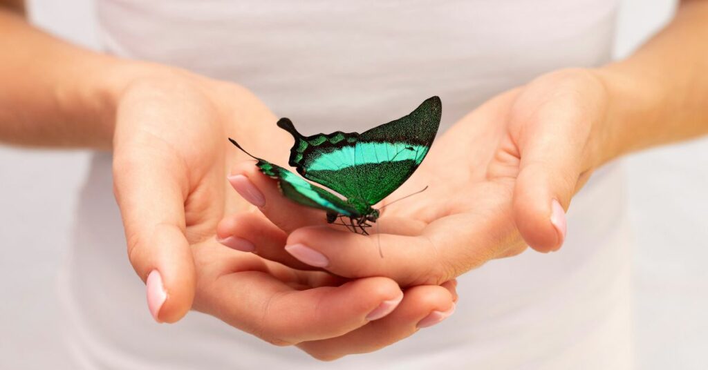 15+ Gifts For Butterfly Lovers That Will Give Them Wings