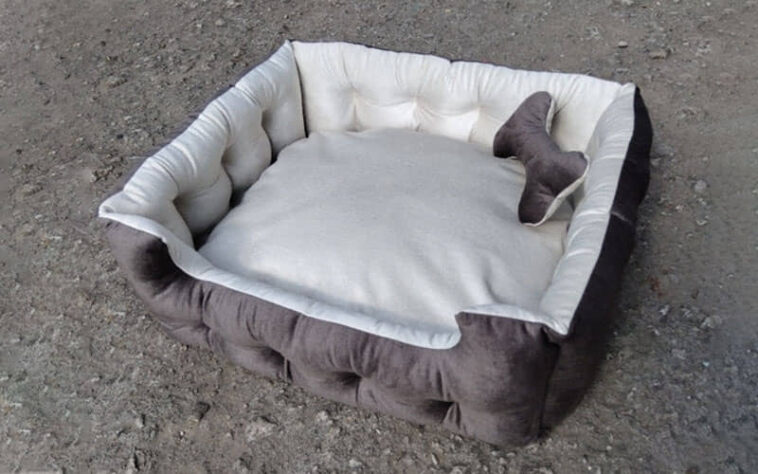 Easy To Clean 9 Best Washable Dog Beds In 2023