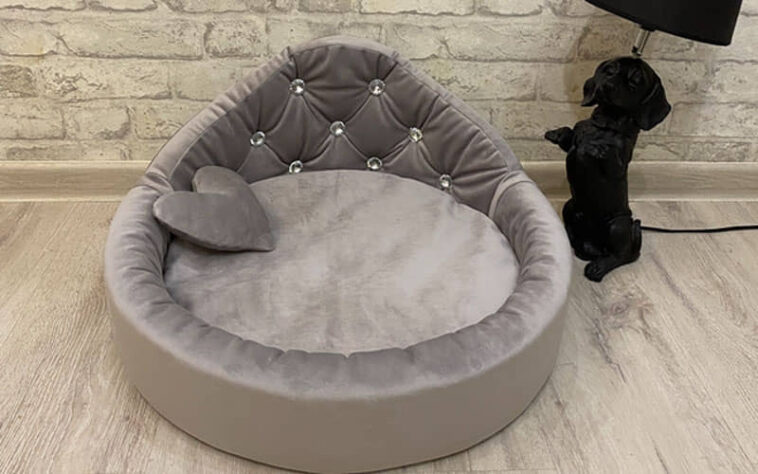 Easy To Clean 9 Best Washable Dog Beds In 2023